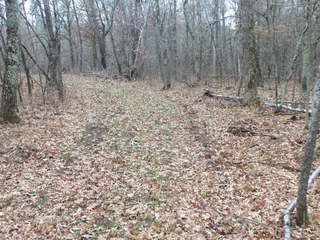 Lot 5 Cnute Creek Trl