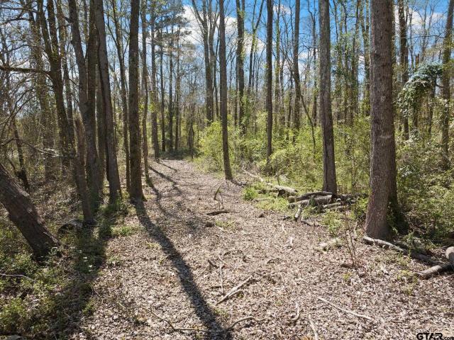 Lot 5 Cr 4365 Mount, Pleasant, TX 75455 | MLS #25005