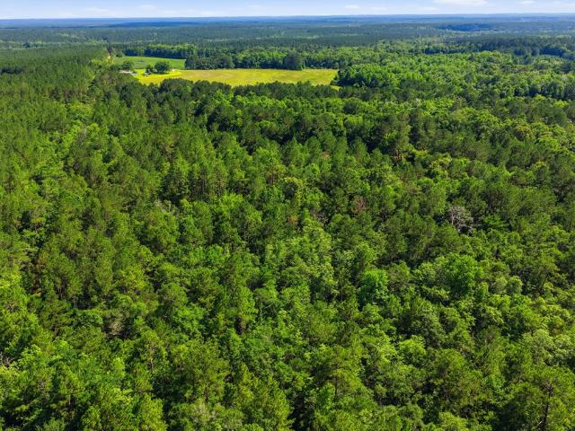 Lot #5 Crosby Clark Road