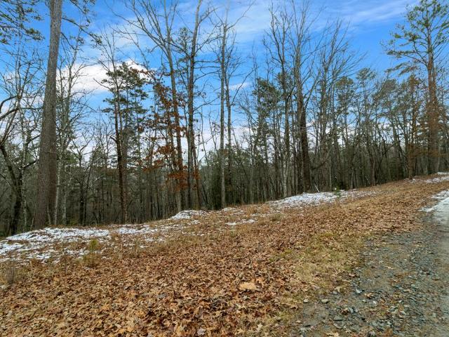 Lot 5 Curtis Ridge, Blue Ridge, GA 30513 | MLS #424779