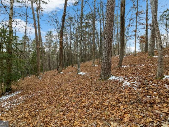 LOT 5 Curtis Ridge Road 5
