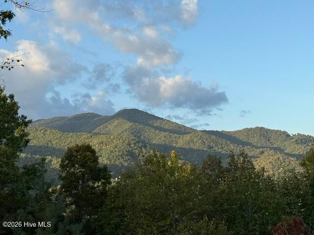 Lot 5 Downings Creek Road # 5,6,7