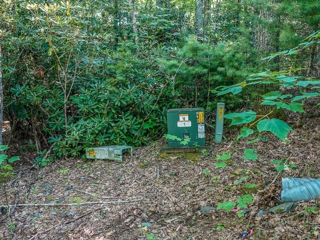 Lot 5 Dream Forest Path