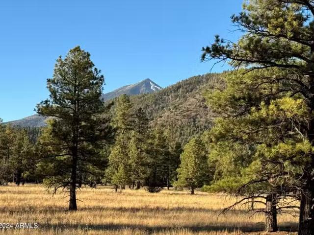 Lot 5 E Hattie Greene #5, Flagstaff, AZ 86001 MLS 6788126