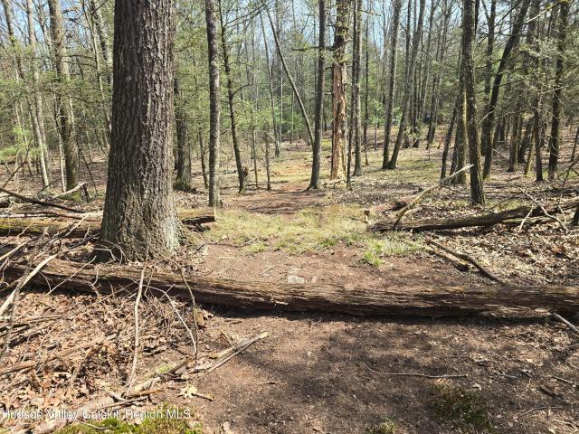 Lot #5 Evergreen Drive
