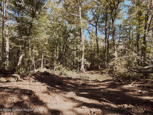 Lot 5 Flatbush Avenue