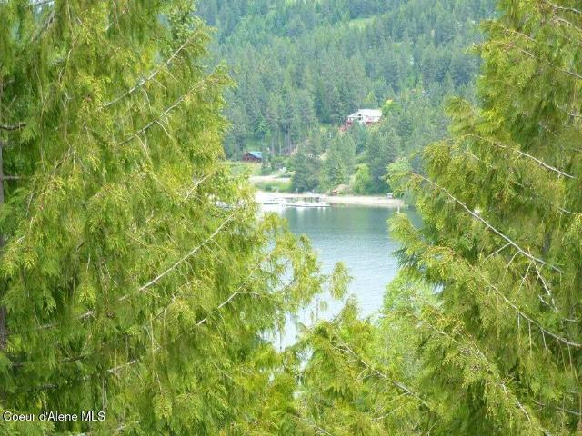 Lot 5 Flying Eagle Dr, Harrison, ID 83833 | MLS #24 11