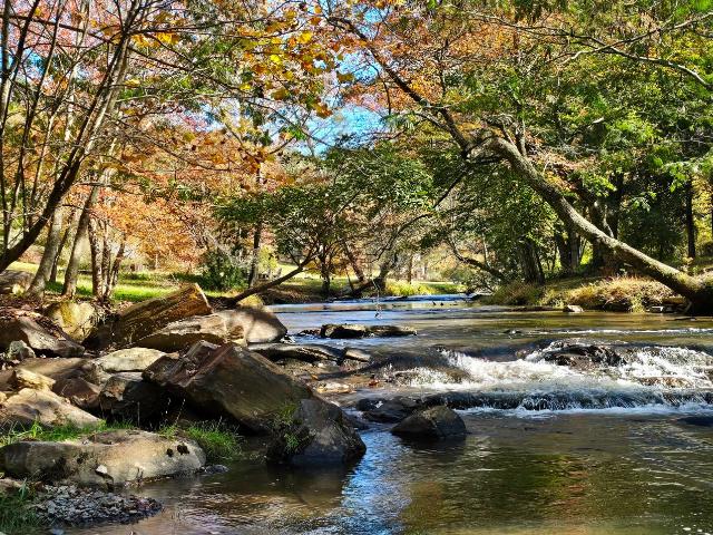 Lot 5 Gold Ridge Trail, Cherry Log, US, GA