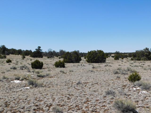 Lot 5 Golden Horeshoe Trail