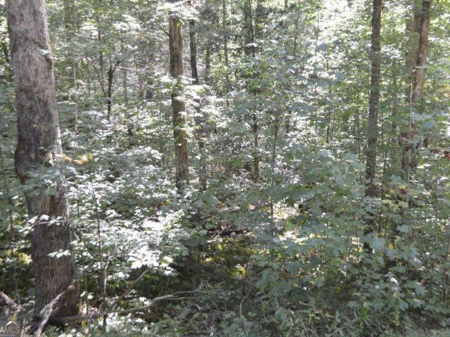Lot 5 Hemlock Ridge, Clayton, GA 30525 | Compass
