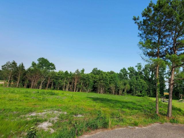 Lot 5 Henry Ct, Clayton, NC 27520 | MLS #2498 | Compass