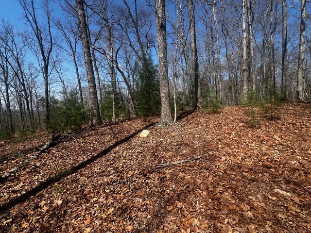 Lot 5 High Country Ln, Morganton, GA 30560 | MLS #429532