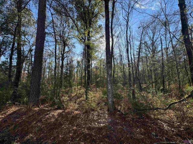 Lot 5 Joe Lee Rd, Walker, LA 70785 | MLS #BR2026001