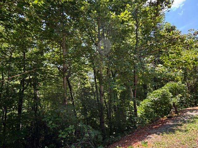LOT #5 King Mountain Drive