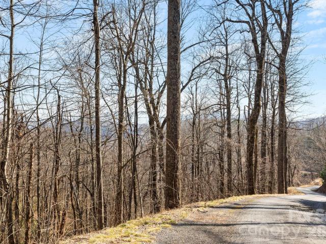 Lot 5 Laurel Mountain Trail