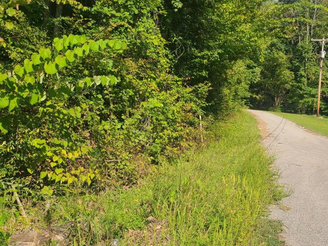 Lot 5 Mel Hall Rd, Maryville, TN 37803