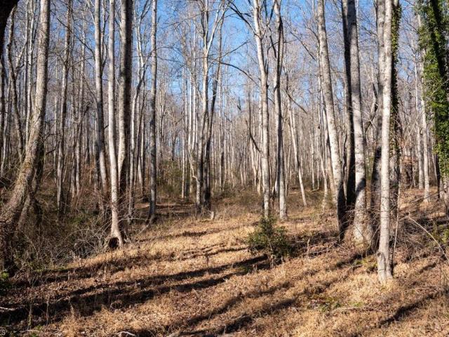 Lot 5 Morosko Lane