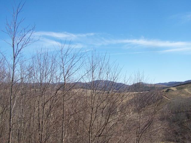 Lot #5 Off Mountain Meadows Lane
