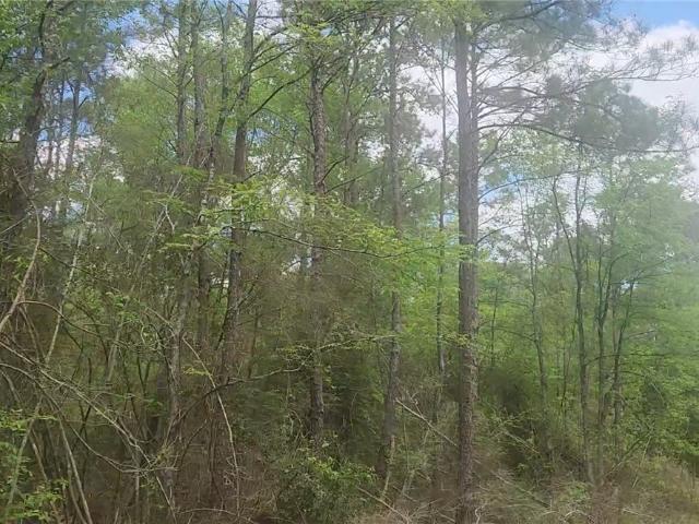 Lot 5 Pin Oak Drive