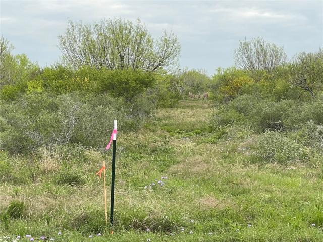 Lot 5 PR Frio Estates Drive