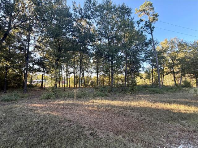 Lot 5 Rollingrock Dr, Livingston, TX 77351 | MLS #6900 | Compass