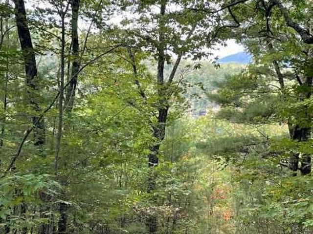 LOT 5 Sequoia Hills Lane 5