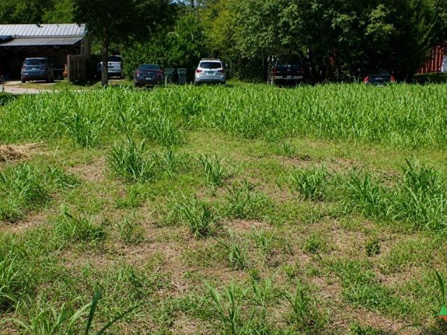 Lot 5 SW Blk Avenue