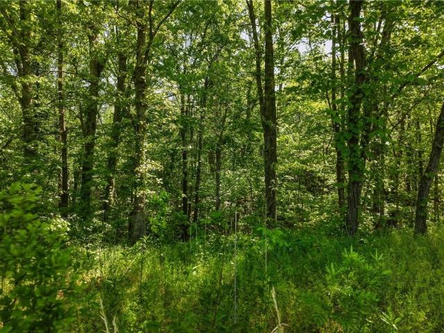 Lot 5 Summit Drive