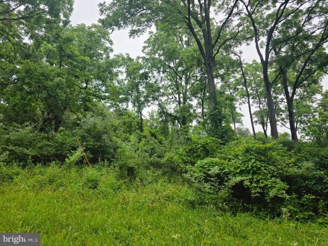 Lot 5 Sunshine Lane