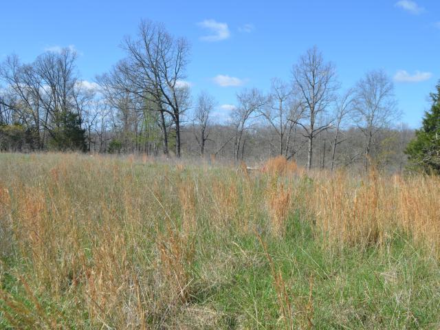 Lot 5B Paradise Lane