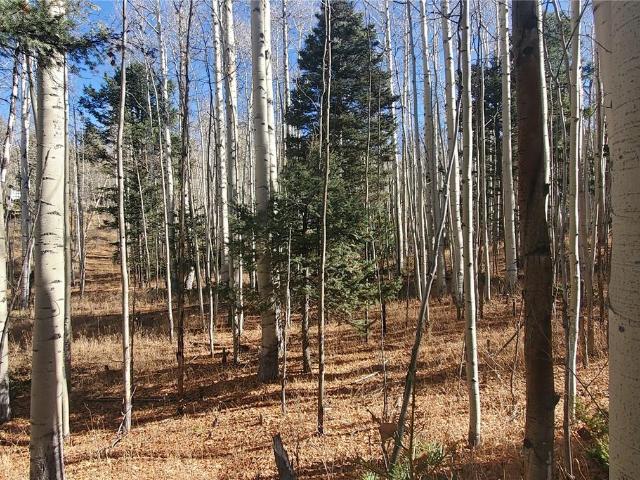 Lot 6060 Forbes Rd, San Luis, CO 81152 | MLS #1803 | Compass