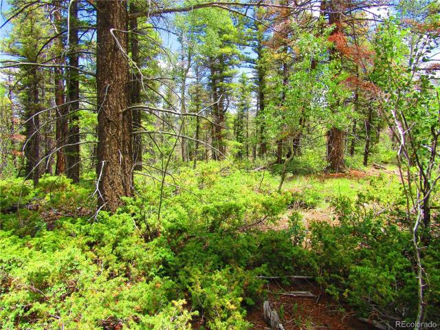 LOT 6082 Stella Road