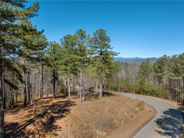 Lot 60 Cliffs South Parkway
