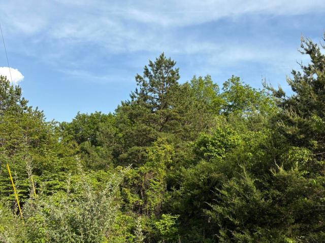 Lot 60 Saddleridge Drive