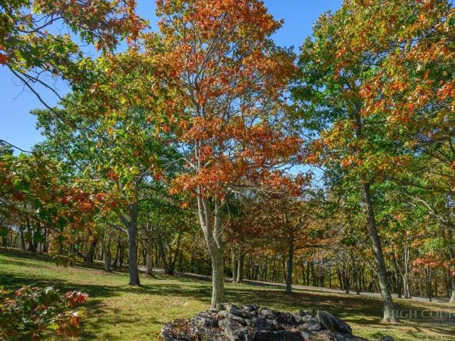Lot 60 Rocky Parkway