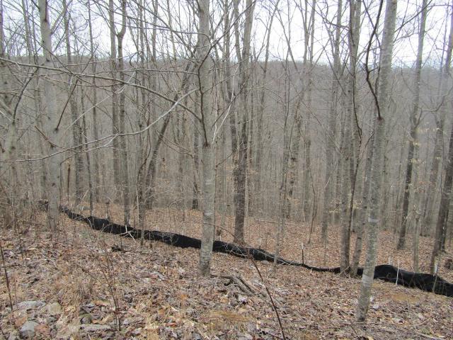 Lot 60 W Bobcat Lane