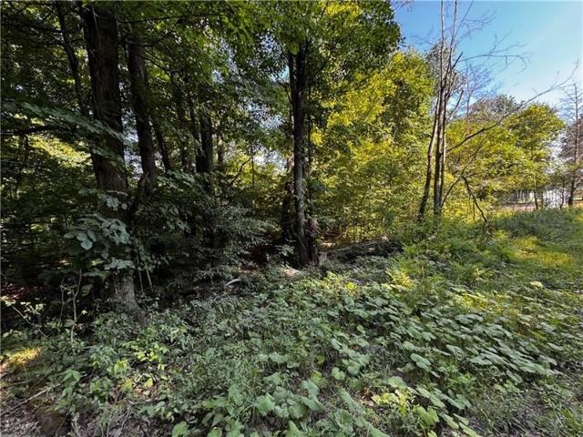 Lot 614 637 Weed