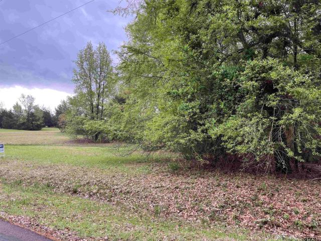 Lot 61 72 Cypress Creek, Mount Vernon, TX 75457 | MLS #26003 | Compass