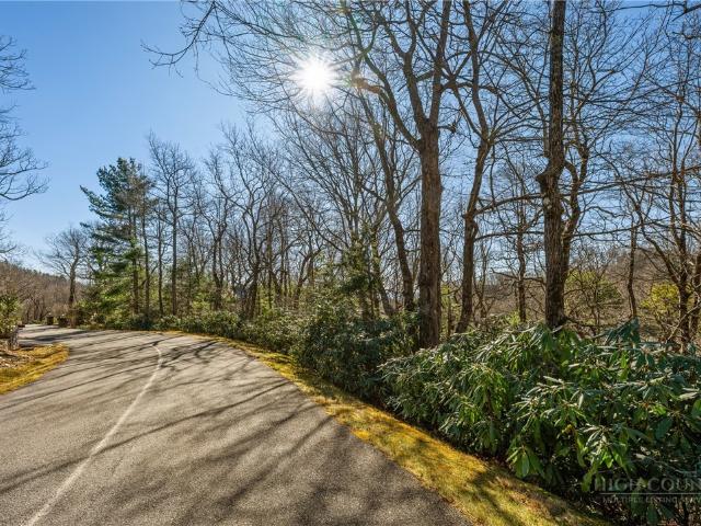 Lot 61 Boone Coffey Trail