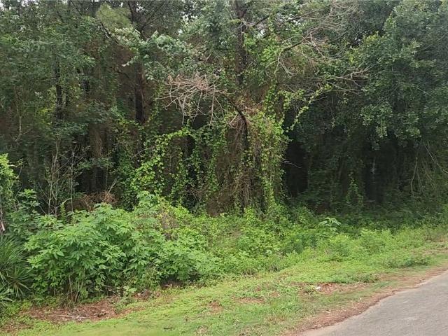 Lot 61 Greenfield Rd