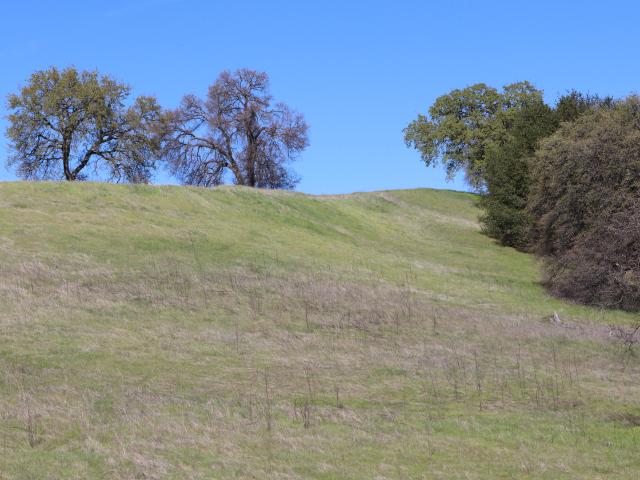 LOT 61 Del Mar Drive