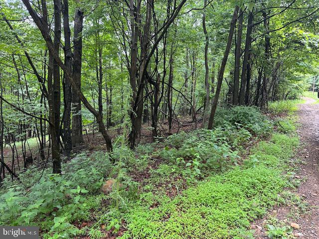 LOT 61 High Mountain View Road