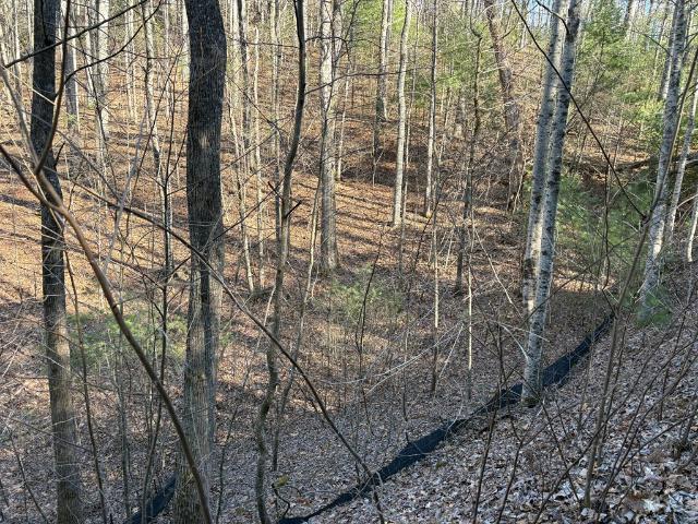 Lot 61 Laurel Trail, Suches, GA 30572 | MLS #429530