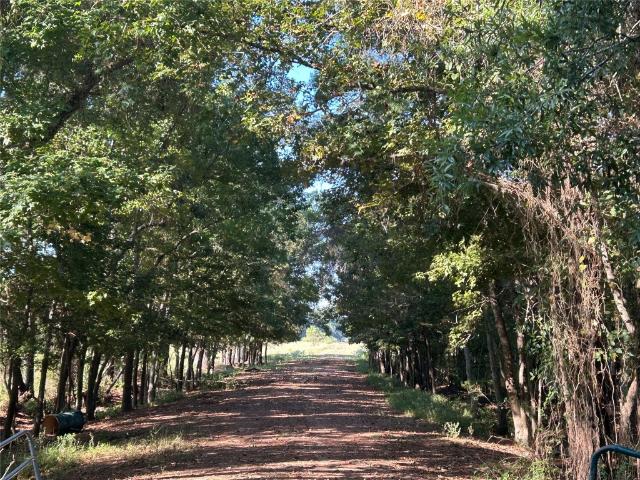 Lot 61 Minnie West Dr, Hull, TX 77564 | MLS #83162 | Compass