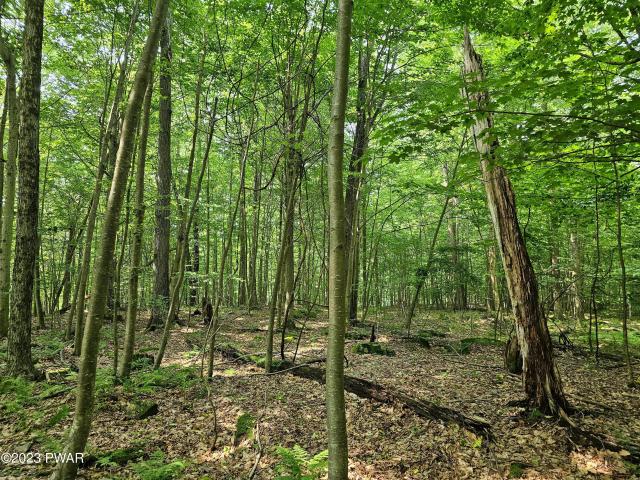 Lot 61 Rock Run Road