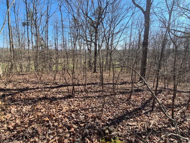 Lot 61 Teludachee Trail, South Pittsburg, TN 37380 | MLS #1531