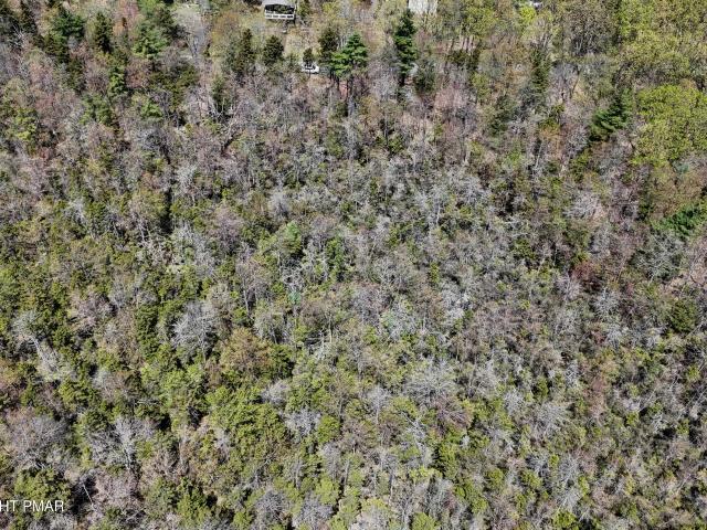 Lot 624 Laurel Road