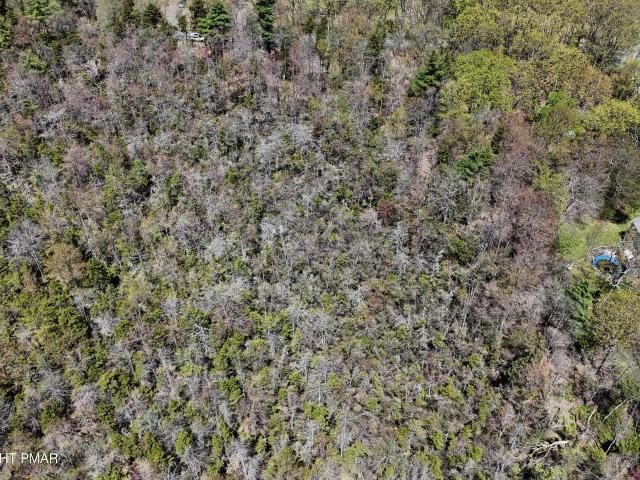 Lot 623 Laurel Road