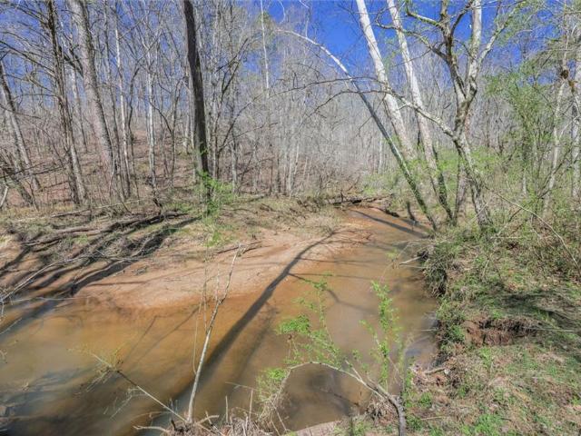 Lot 62 Cherokee Wood Hollow Dr
