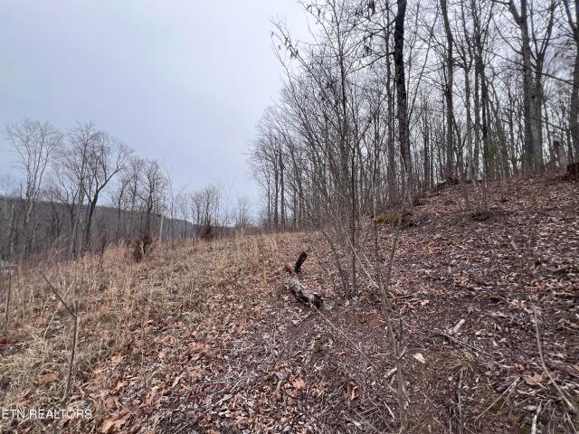 Lot 62 Apache Rd, Jamestown, TN 38556